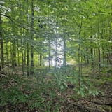 Lake Thom-a-Lex Nature Trail, North Carolina - 264 Reviews, Map | AllTrails