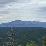 Mount Herman Trail, Colorado - 1,835 Reviews, Map | AllTrails