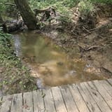 Lake Thom-a-Lex Nature Trail, North Carolina - 264 Reviews, Map | AllTrails