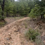 Arkansas River Trail, Arkansas - 528 Reviews, Map | AllTrails