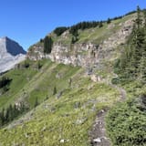 Wind Ridge Trail, Alberta, Canada - 1,349 Reviews, Map | AllTrails