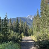 Wind Ridge Trail, Alberta, Canada - 1,349 Reviews, Map | AllTrails