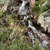 Tamarack Peak Loop, Nevada - 1,083 Reviews, Map | AllTrails