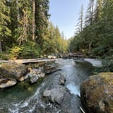 Staircase Rapids Loop, Washington - 2,931 Reviews, Map | AllTrails
