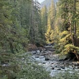 Staircase Rapids Loop, Washington - 2,994 Reviews, Map | AllTrails