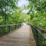 BWI Trail, Maryland - 2,822 Reviews, Map | AllTrails