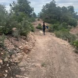 Tanner Trail, Colorado - 115 Reviews, Map | AllTrails