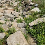 Halibut Point Trail, Massachusetts - 1,550 Reviews, Map | AllTrails