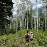 Box Lake Trail, Utah - 28 Reviews, Map | AllTrails