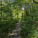 Capen Hill Nature Sanctuary, Massachusetts - 225 Reviews, Map | AllTrails
