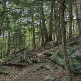 Capen Hill Nature Sanctuary, Massachusetts - 234 Reviews, Map | AllTrails