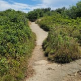 Halibut Point Trail, Massachusetts - 1,550 Reviews, Map | AllTrails