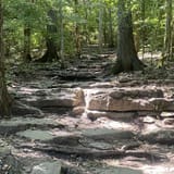 Harpeth Woods Trail, Tennessee - 2,730 Reviews, Map | AllTrails