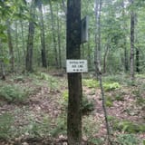 Mount Adams via Air Line Trail, New Hampshire - 763 Reviews, Map ...