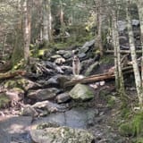 Mount Adams via Air Line Trail, New Hampshire - 763 Reviews, Map ...