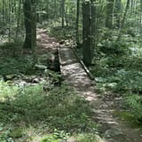 Catamount Hill Trail and One Mile Trail Loop, New Hampshire - 648 ...