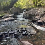 Congdon Park, Minnesota - 522 Reviews, Map | AllTrails