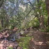 Congdon Park, Minnesota - 522 Reviews, Map | AllTrails