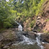 Congdon Park, Minnesota - 522 Reviews, Map | AllTrails