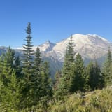 Silver Forest Trail, Washington - 566 Reviews, Map | AllTrails