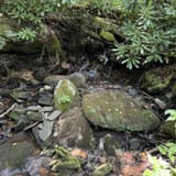 Boteler Peak Via Chunky Gal Trail, North Carolina - 50 Reviews, Map ...