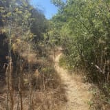 Murphy Ranch Trail, California - 4,101 Reviews, Map | AllTrails