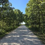 Springbrook Prairie Trail, Illinois - 1,096 Reviews, Map | AllTrails