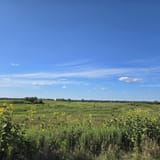Springbrook Prairie Trail, Illinois - 1,096 Reviews, Map | AllTrails