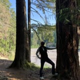 Skookum Flats Trail, Washington - 969 Reviews, Map | AllTrails