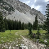 Buchanan Pass and Camp Dick Trail, Colorado - 243 Reviews, Map | AllTrails