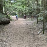 Skookum Flats Trail, Washington - 1,007 Reviews, Map | AllTrails