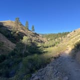 Hunter Creek Trail, Nevada - 4,878 Reviews, Map | AllTrails