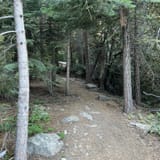 Hunter Creek Trail, Nevada - 4,888 Reviews, Map | AllTrails