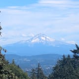 Council Crest via Marquam Trail, Oregon - 2,035 Reviews, Map | AllTrails