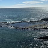 Old Cove Landing Trail, California - 4,223 Reviews, Map | AllTrails