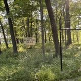 Busse Woods Loop Trail, Illinois - 2,969 Reviews, Map | AllTrails