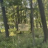 Busse Woods Loop Trail, Illinois - 2,969 Reviews, Map | AllTrails