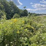 Mount Roberts Trail, New Hampshire - 2,748 Reviews, Map | AllTrails