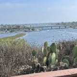 Back Bay Loop, California - 2,021 Reviews, Map | AllTrails