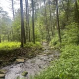 Jacoby Falls Trail, Pennsylvania - 651 Reviews, Map | AllTrails