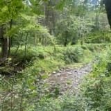 Jacoby Falls Trail, Pennsylvania - 651 Reviews, Map | AllTrails