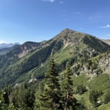 Box Elder Peak via Deer Creek-Dry Creek Trail, Utah - 359 Reviews, Map ...