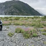 Portage Pass Trail, Alaska - 2,322 Reviews, Map | AllTrails