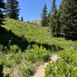 Kebler Pass / Irwin Lake, Colorado - 355 Reviews, Map | AllTrails
