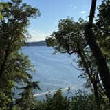 Marine View Park Loop Trail, Washington - 540 Reviews, Map | AllTrails