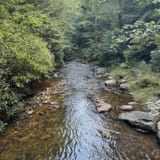 Hawk Falls Trail, Pennsylvania - 3,161 Reviews, Map | AllTrails