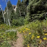 Maple Canyon Loop Trail , Utah - 197 Reviews, Map | AllTrails