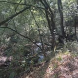 Bill's Trail to Mount Barnabe Peak Loop, California - 595 Reviews, Map ...