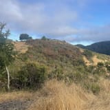 Bill's Trail to Mount Barnabe Peak Loop, California - 595 Reviews, Map ...