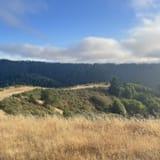 Bill's Trail to Mount Barnabe Peak Loop, California - 565 Reviews, Map ...